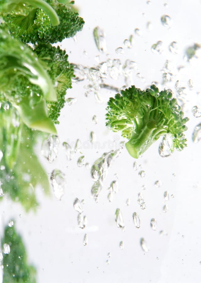 Broccoli immersed in water stock image. Image of harvest - 14011071