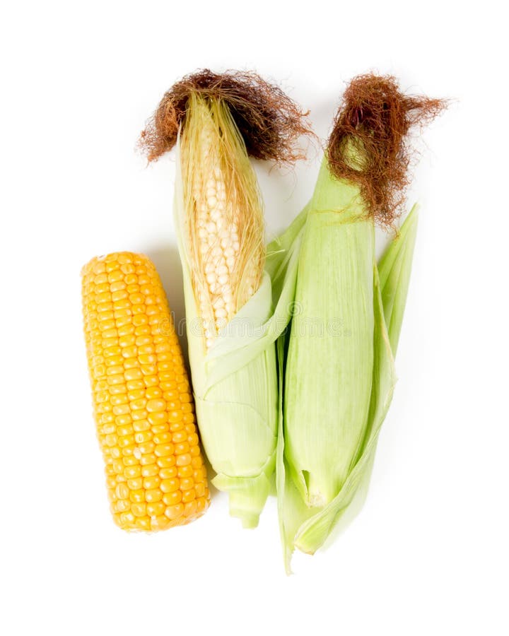 Corn group stock image. Image of objects, leaf, vegetarian - 25317377