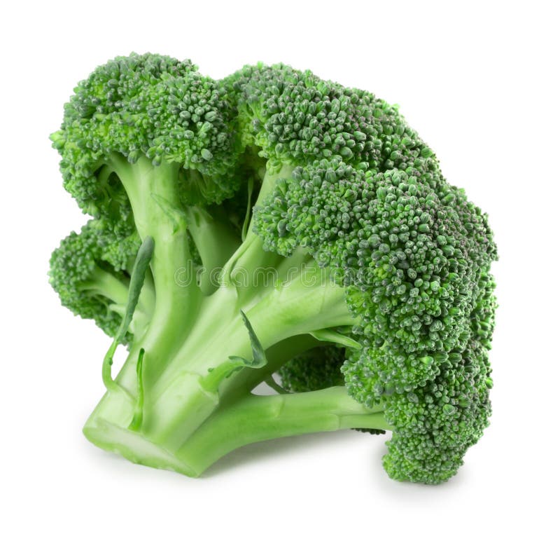 Broccoli Isolated On White Background Stock Photo - Image of white ...