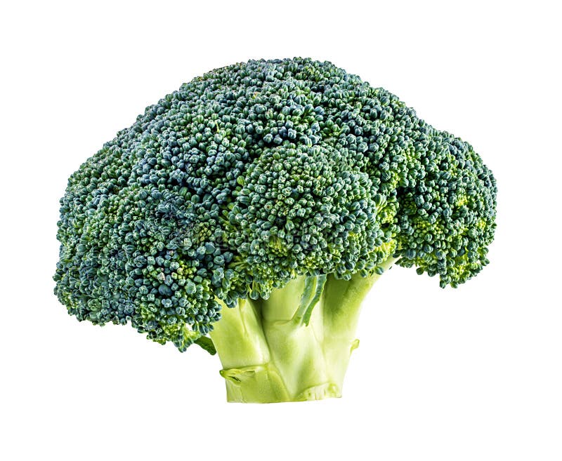 Broccoli on a white stock image. Image of green, path - 81454949