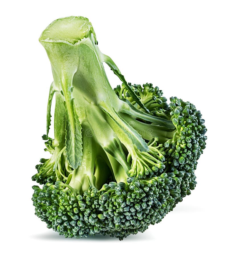 Broccoli isolated on white stock image. Image of broccoli - 112536555