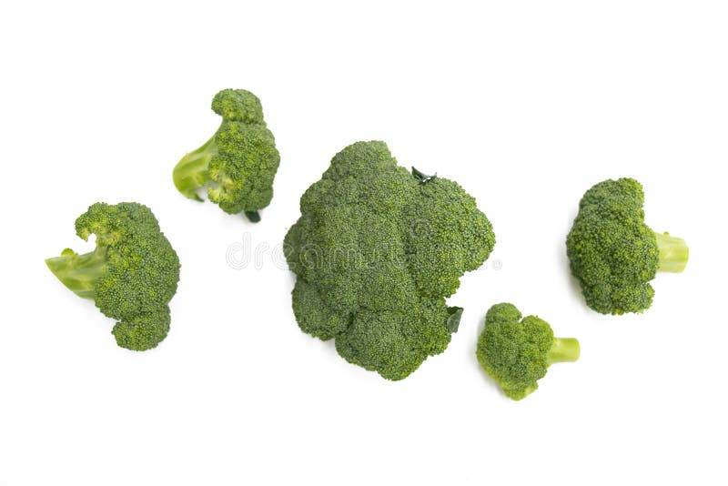Broccoli Isolated, Broccoli on White. Set of Fresh Broccoli Stock Photo ...