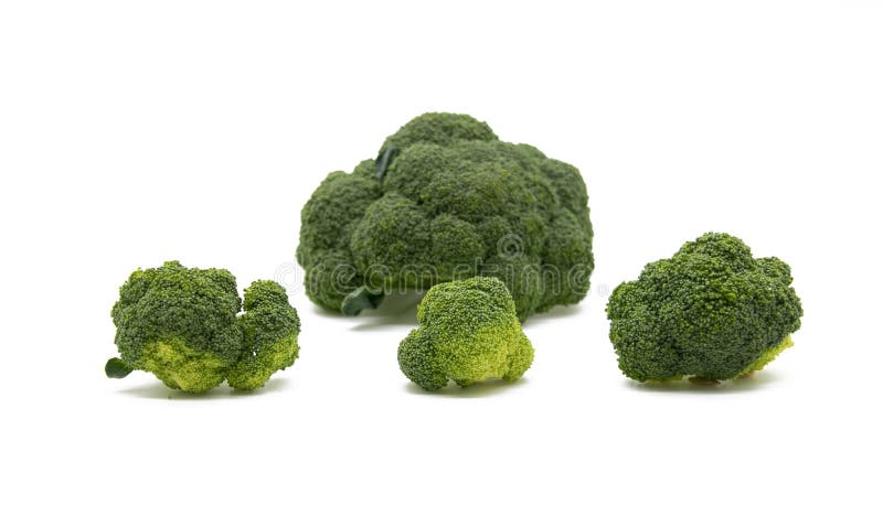 Broccoli Isolated White. Set of Fresh Broccoli Stock Image - Image of ...