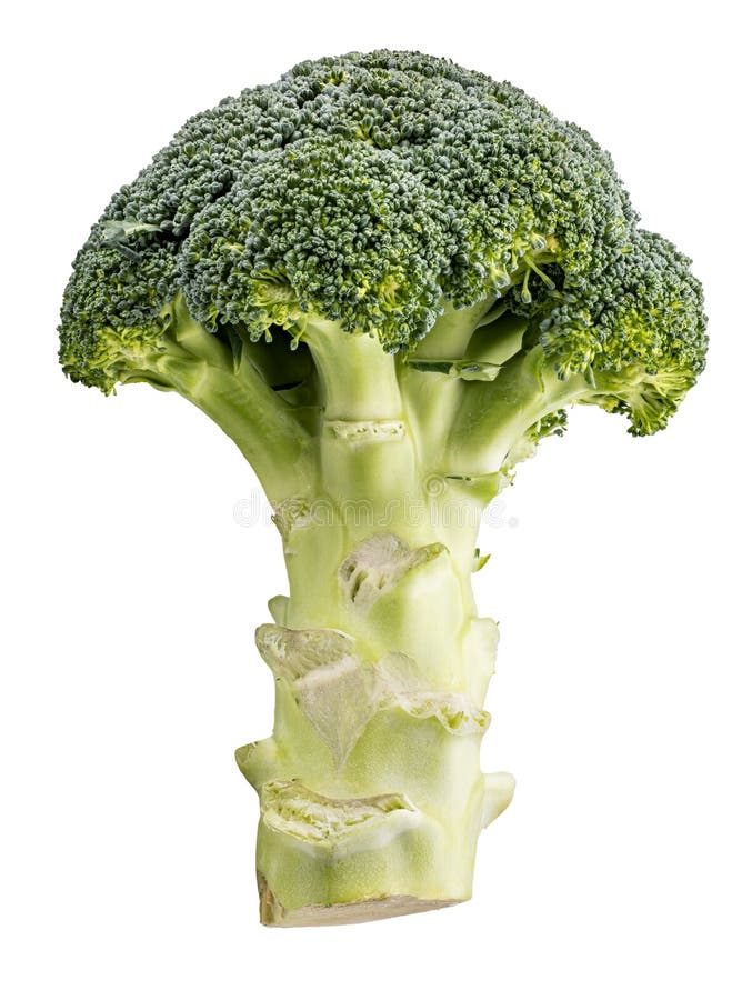 Broccoli Isoliert Auf Weißem Grund Clickpfad Stockfoto - Bild von ...