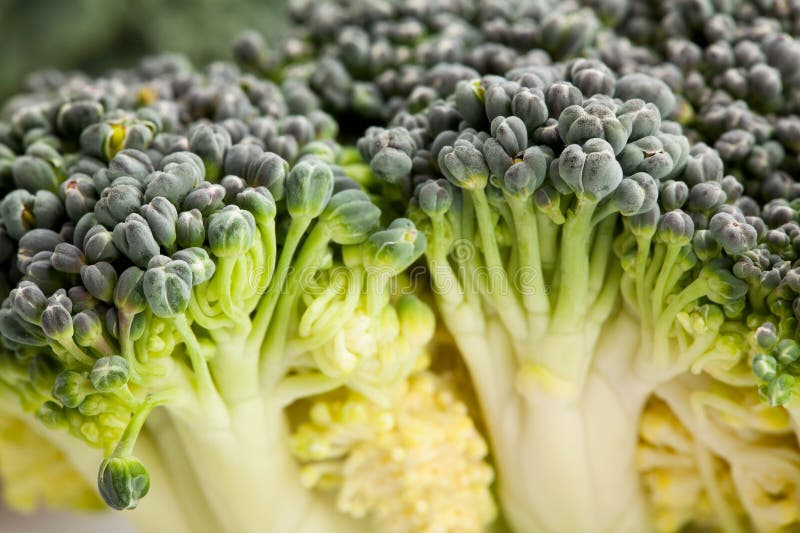 Broccoli stock photo. Image of vegetable, vegetarian - 63023838
