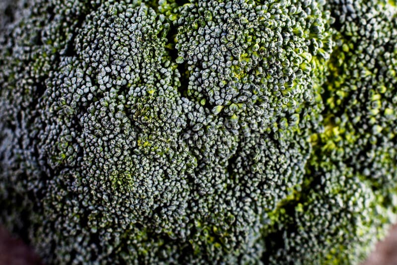 Broccoli macro picture stock image. Image of green, diet - 70932935