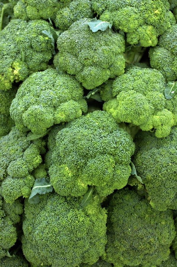 Broccoli in the Market for Sell. Raw Vegetables Stock Photo - Image of ...