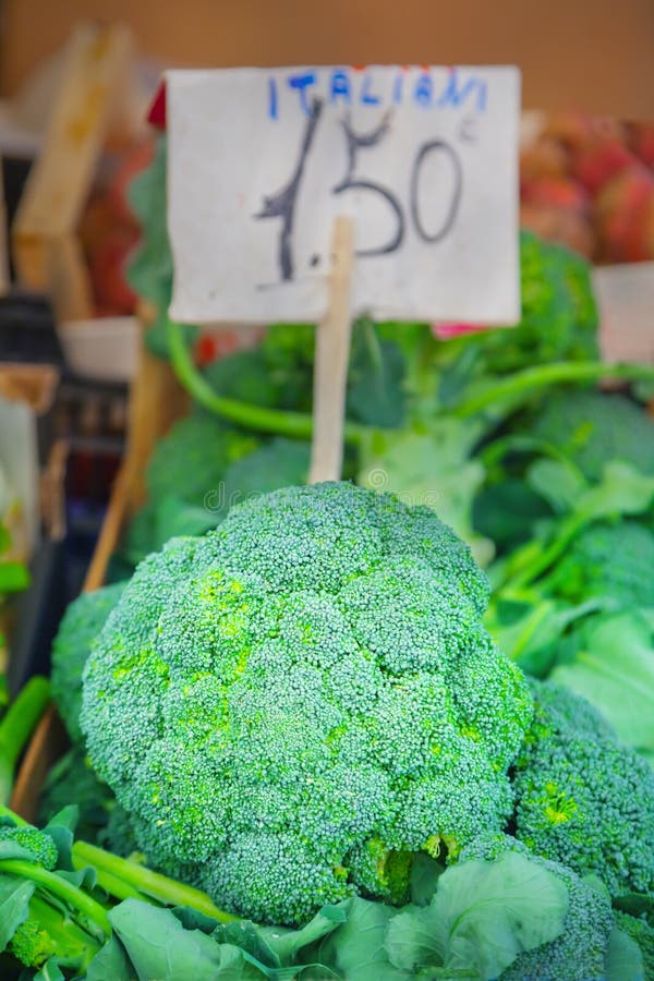 Broccoli stock photo. Image of colour, freshness, meal - 65634944