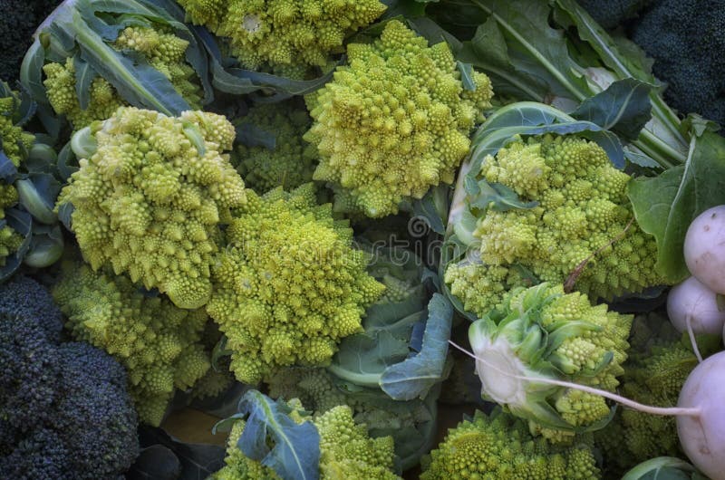 Broccoli O Roman Cauliflower Di Romanesco Immagine Stock - Immagine di ...