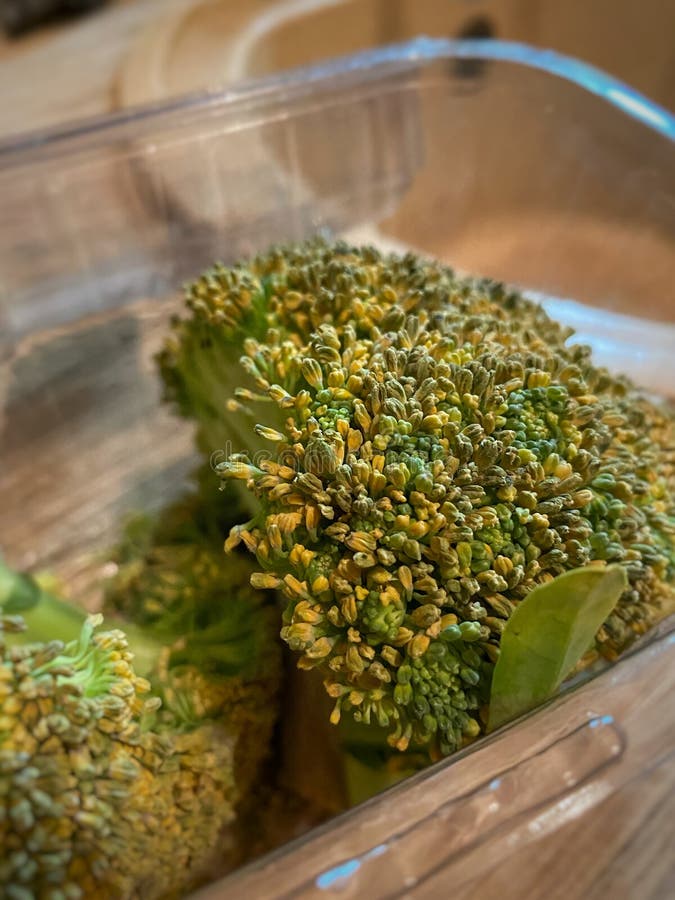 Broccoli stock photo. Image of package, close, ingredient - 244065834