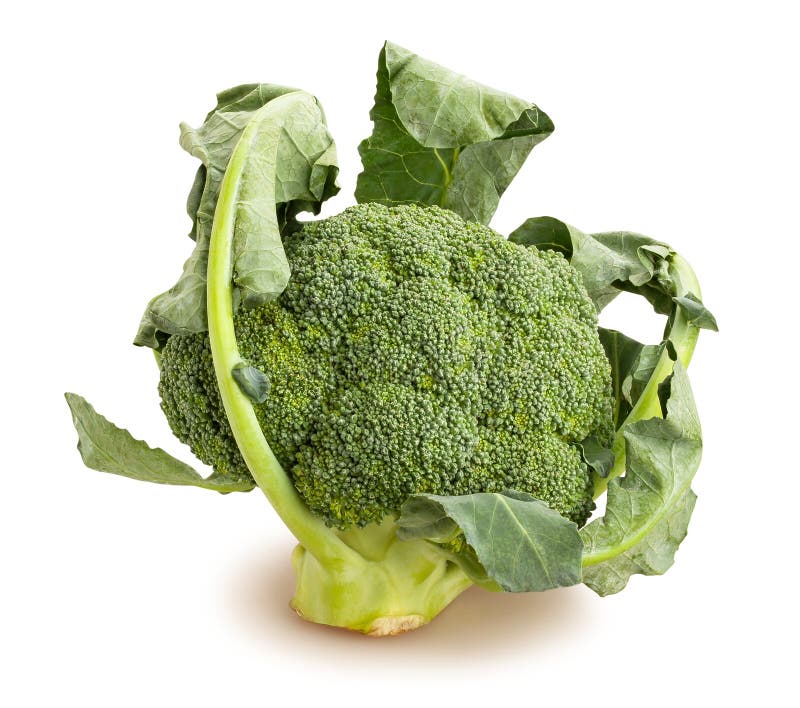 Broccoli path isolated stock photo. Image of cutout - 397555980