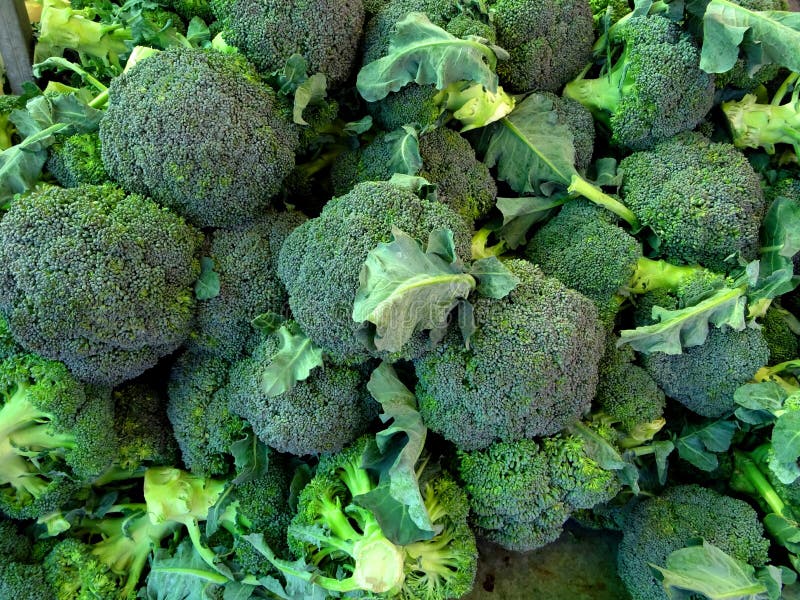 Broccoli in the Market for Sell. Raw Vegetables Stock Photo - Image of ...