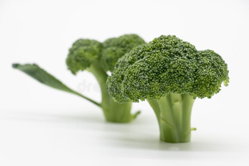 Broccoli Pieces Isolated on White Background. Creative Layout Made of ...