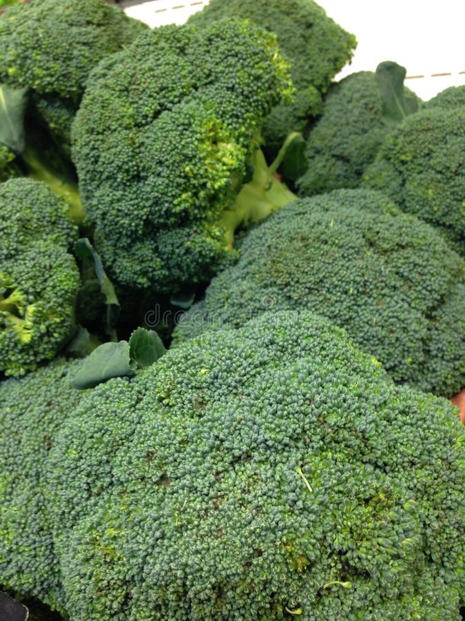Broccoli stock photo. Image of vegetable, ingredient - 83913366