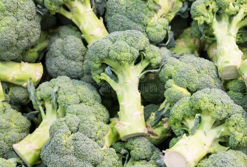Broccoli in a pile stock image. Image of cuisine, dietetic - 90297995