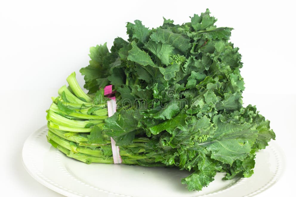 Broccoli Rabe stock image. Image of nutrition, vegetable - 23489951