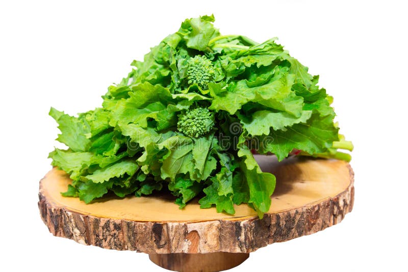 Broccoli Rabe stock photo. Image of diet, plant, food - 76616888