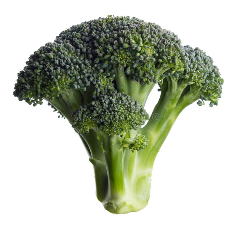 Broccoli stock photo. Image of full, fruits, color, front - 60992116