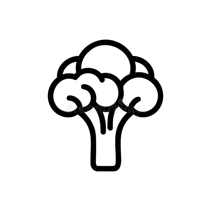 Broccoli Simple Linear Icon Stock Illustration - Illustration of ingredient, organic: 300647742