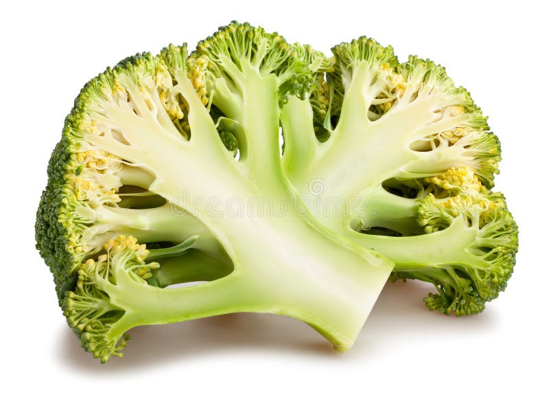 Broccoli stock image. Image of halved, fresh, diet, ingredient - 132446777