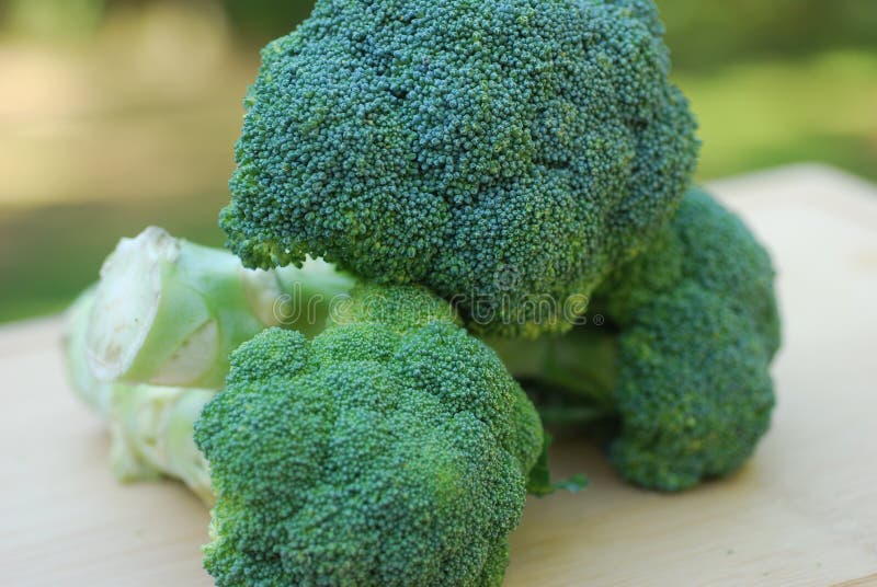 Broccoli stock image. Image of macro, outside, closeup - 58495925