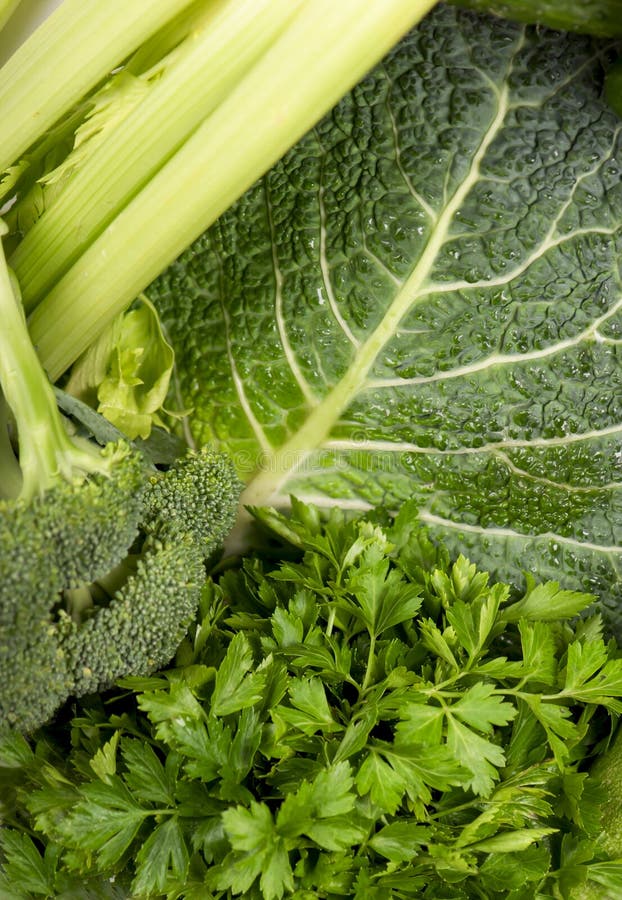 Broccoli still life stock image. Image of dietary, freshness - 30894291