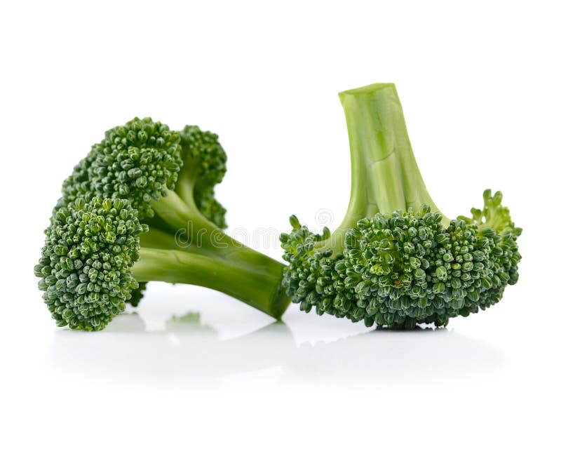 Broccoli Still Life on a White Background Stock Image - Image of ...
