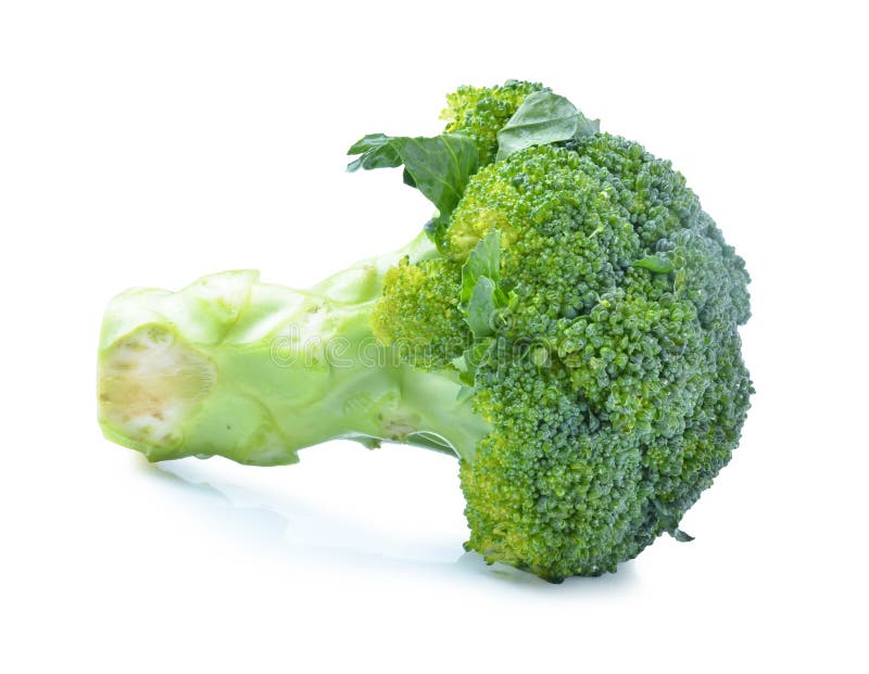 Broccoli Still Life on a White Background Stock Photo - Image of food ...