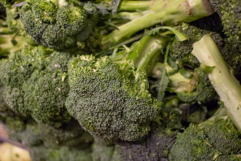 Broccoli at the store stock image. Image of healthy - 158168627