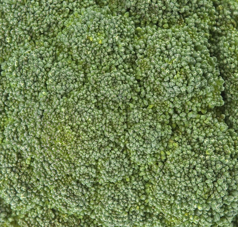 Broccoli texture stock image. Image of grocery, texture - 11964833