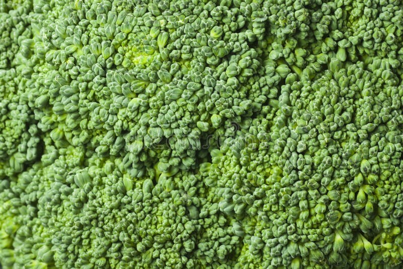 Broccoli texture stock photo. Image of agriculture, design - 12426824