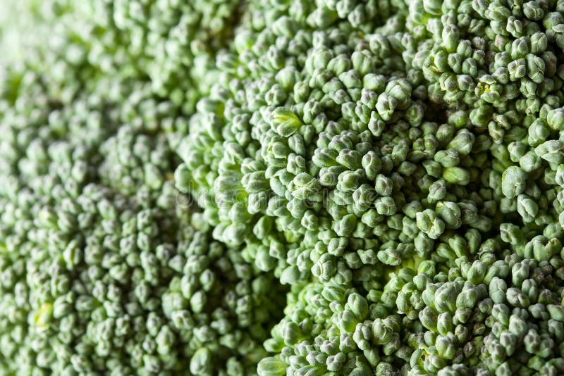 Broccoli texture stock photo. Image of ingredient, agriculture - 23747484