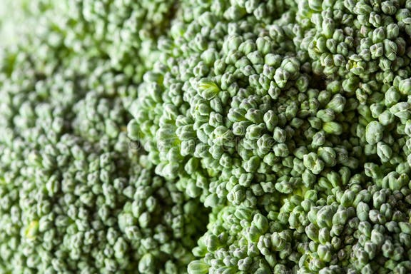 Broccoli texture stock photo. Image of ingredient, agriculture - 23747484