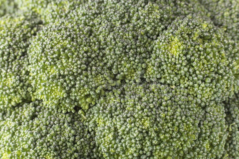 Broccoli texture close up stock image. Image of natural - 114255597