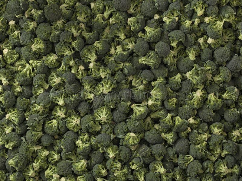 Broccoli Texture Closeup for Any Ideas. Fresh Vegetables Concept Stock ...