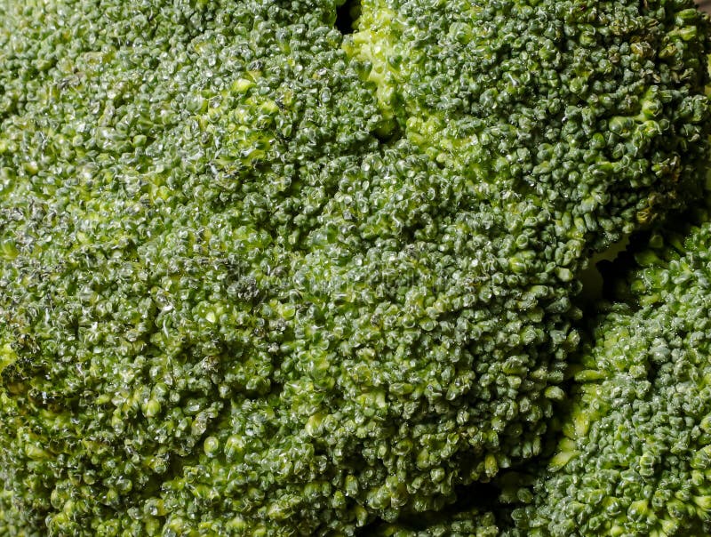 Broccoli Texture with Little Drops of Water on Top Stock Image - Image ...