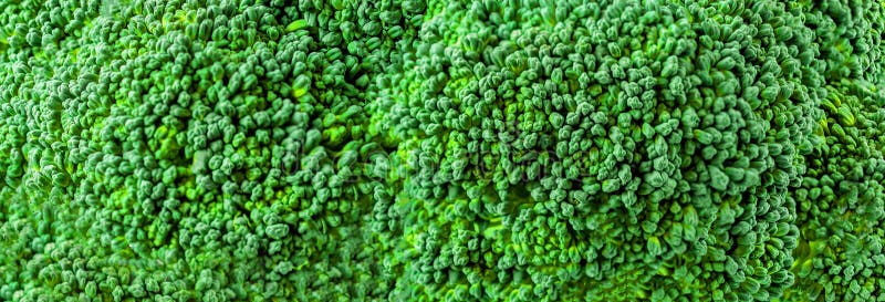 Broccoli Textured Background . Fresh Broccoli Vegetable Stock Image ...