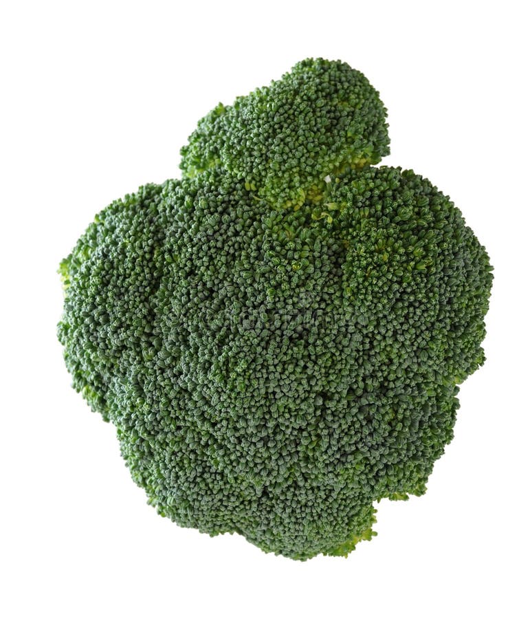 Broccoli Top stock image. Image of background, culinary - 17767885