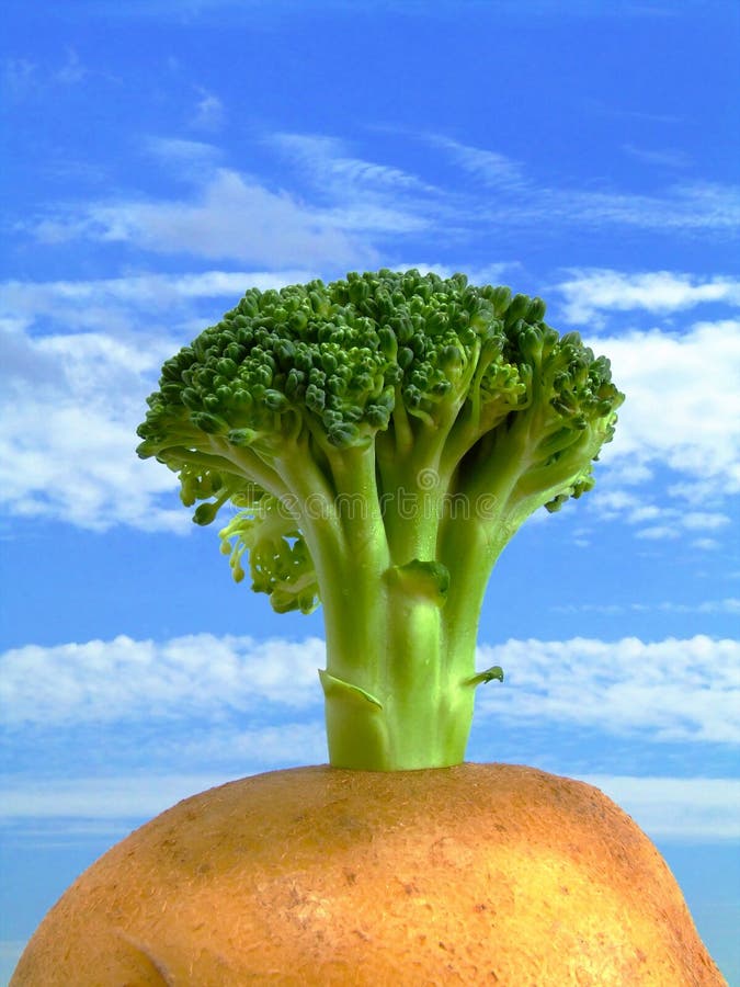 Broccoli Tree on Potato Hill Stock Photo - Image of healthily, fantasy ...