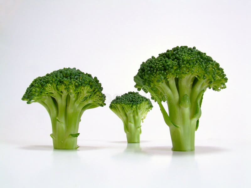 Broccoli Trees stock image. Image of diet, green, broccoli - 4197143