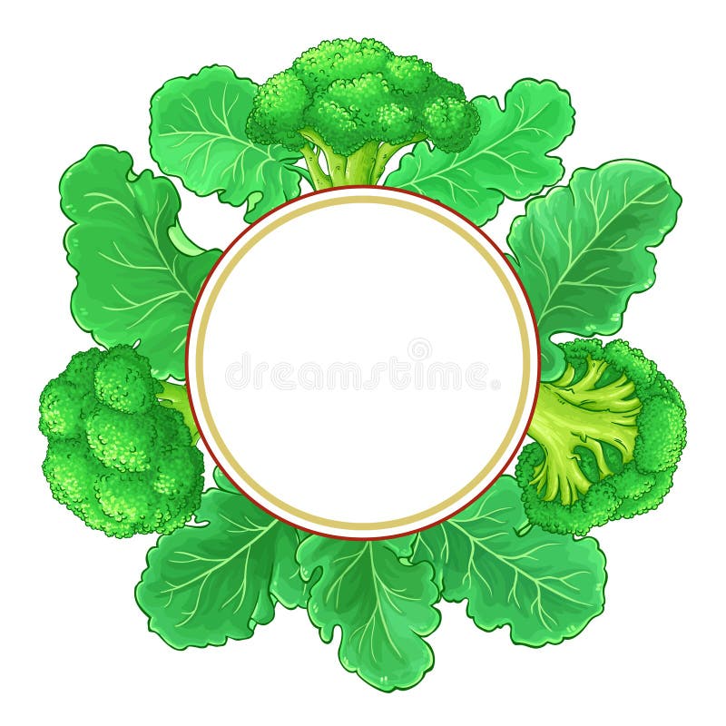 Brocolli Frame Stock Illustrations – 47 Brocolli Frame Stock ...