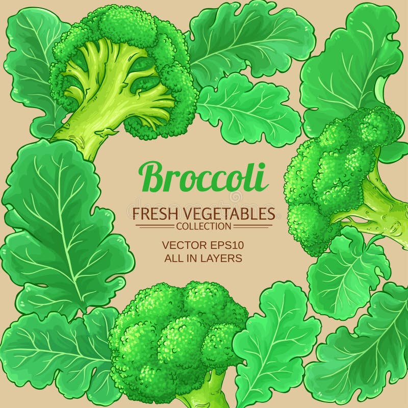 Brocolli Frame Stock Illustrations – 47 Brocolli Frame Stock ...