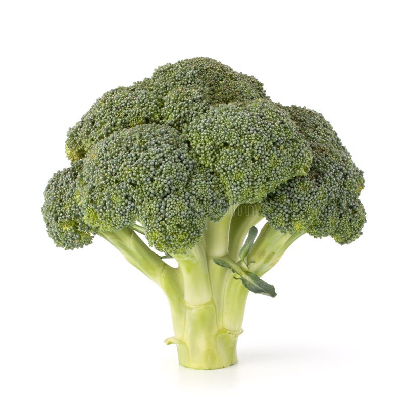 Raw broccoli isolated stock image. Image of plant, fresh - 112592465