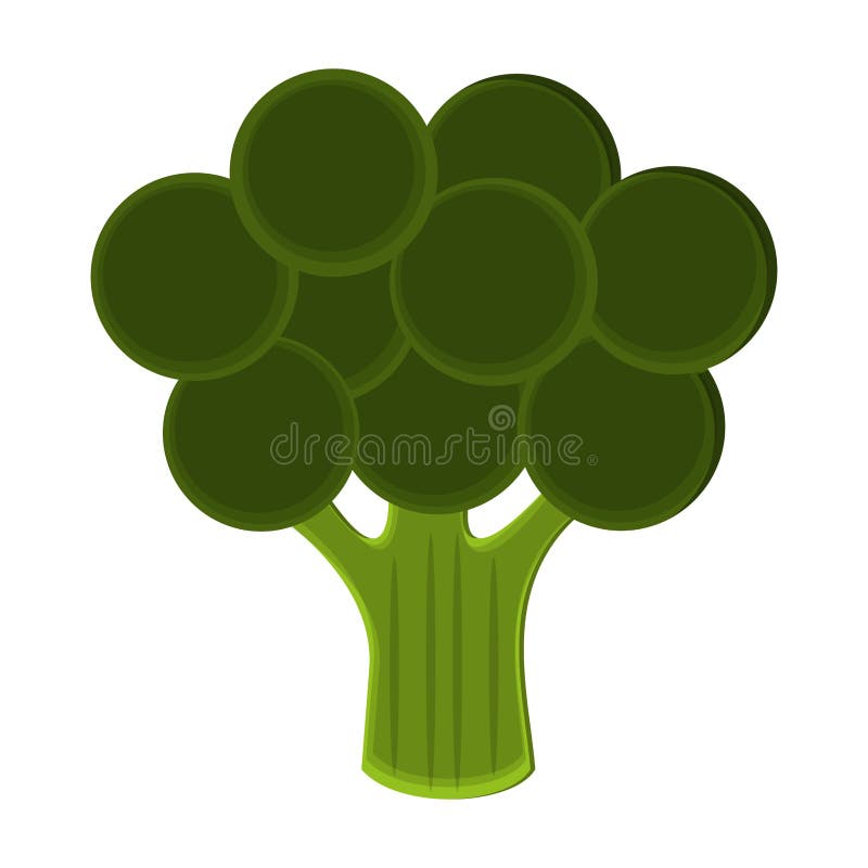 Broccoli vegetable food stock vector. Illustration of natural - 139981224