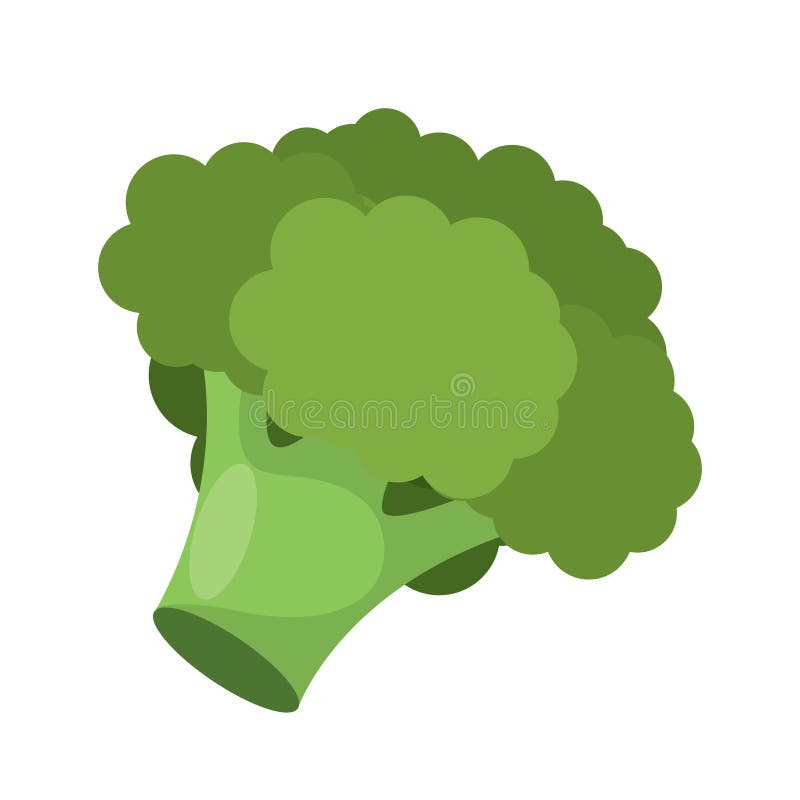 Broccoli Vegetable Icon. Vector Stock Illustration - Illustration of ...