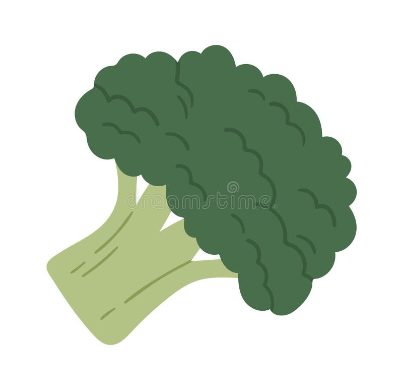 Broccoli Vegetable Icon stock vector. Illustration of freshness - 273901460