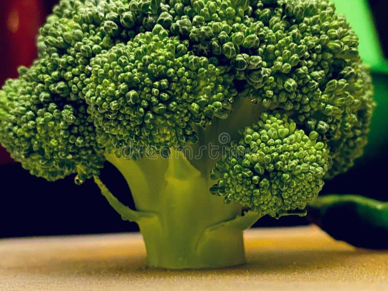 Broccoli stock image. Image of tree, broccoli, view - 252235279