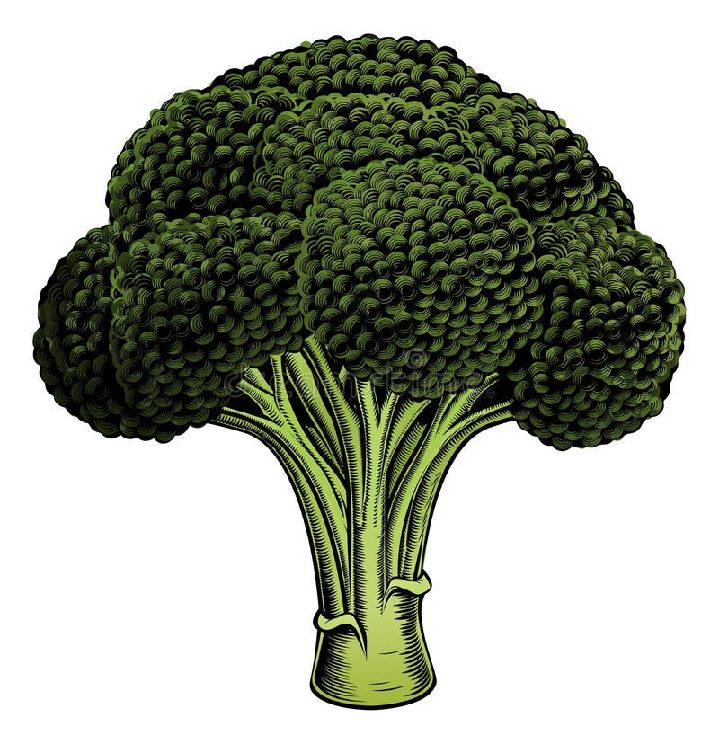 Broccoli Stock Illustrations – 55,169 Broccoli Stock Illustrations ...