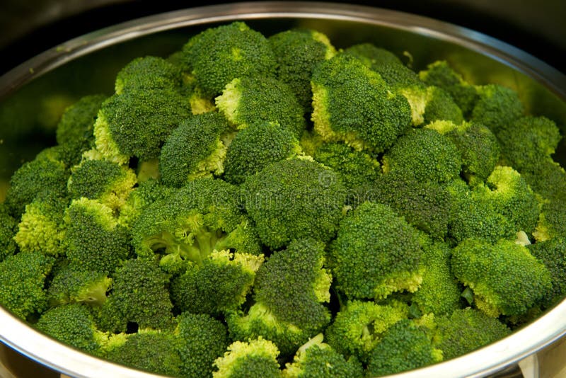 Broccoli stock photo. Image of restaurant, healthy, warming - 49493914