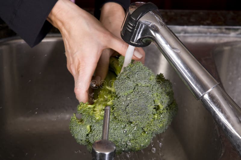 Broccoli wash stock image. Image of healthy, food, broccoli - 13439335